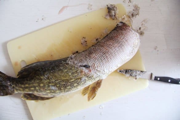 Baked Pike Recipe - Where Is My Spoon