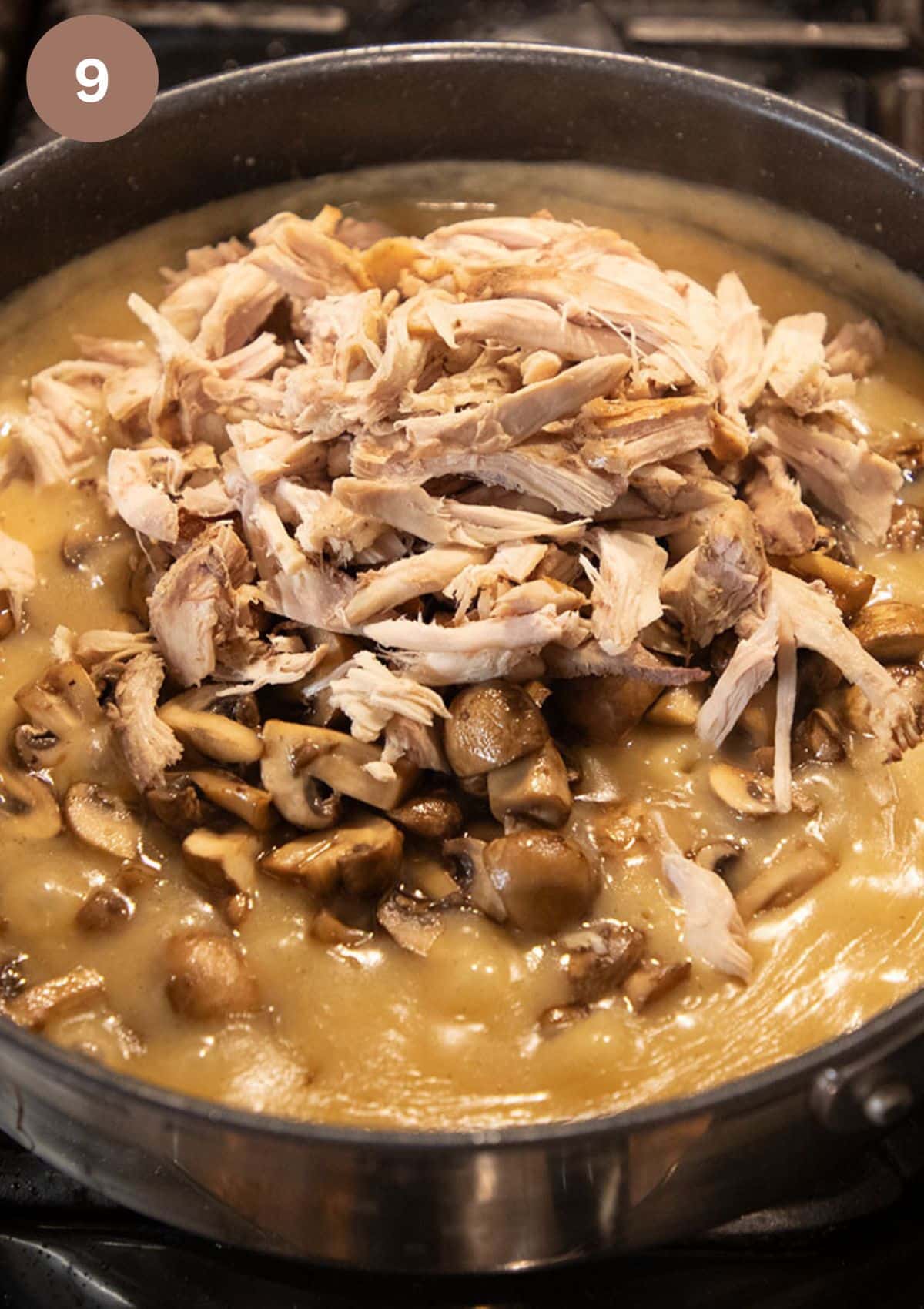 Turkey Fricassee (with Leftover Turkey) - Where Is My Spoon