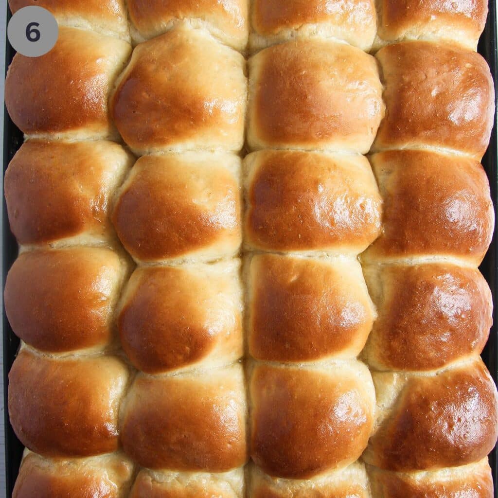 Homemade Yeast Rolls from Scratch - Where Is My Spoon