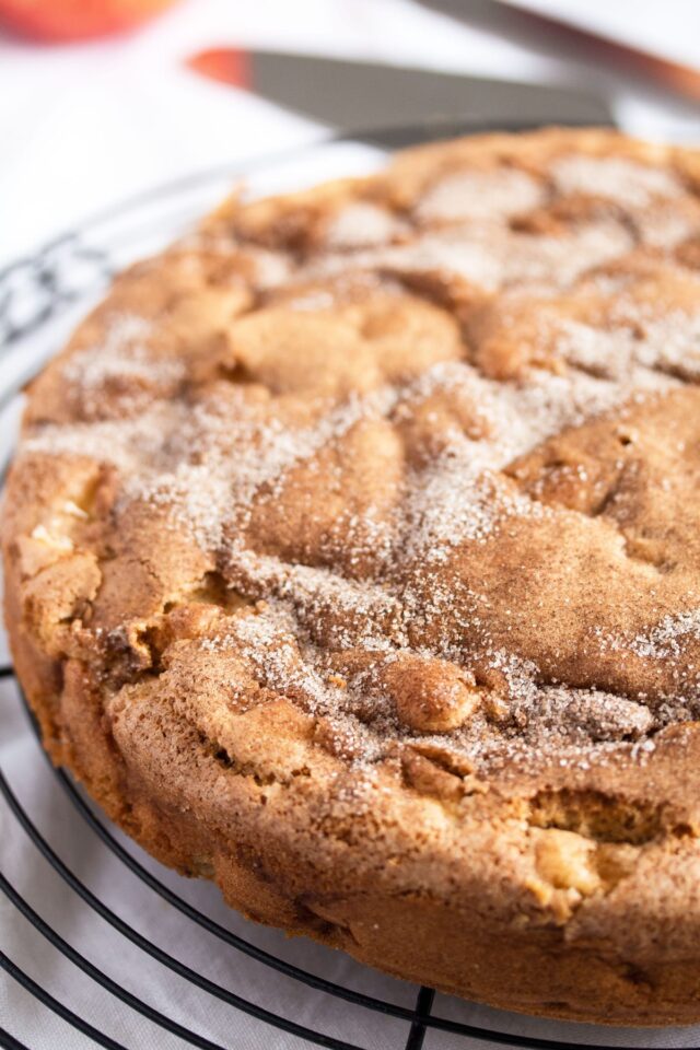 Low-Fat Apple Cake (Low Calorie, Healthy Cake Recipe)