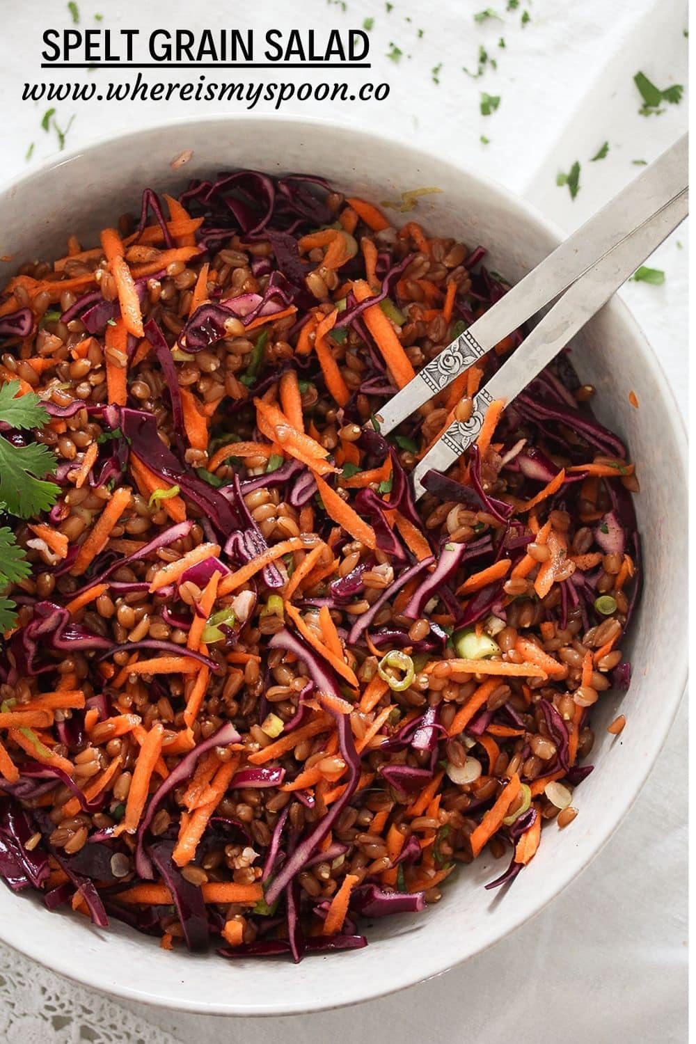 Spelt Grain Salad - Where Is My Spoon