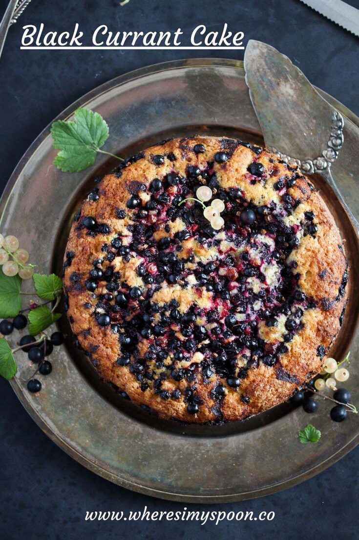 Black Currant Cake (Only 6 Ingredients) - Where Is My Spoon