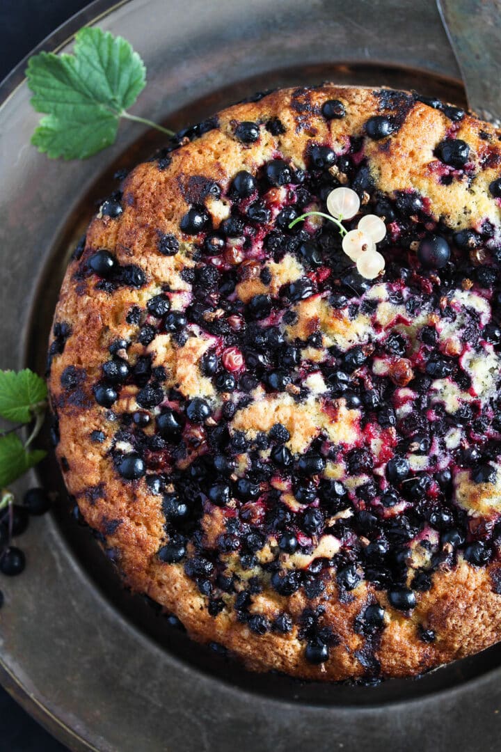 Black Currant Cake - Where Is My Spoon