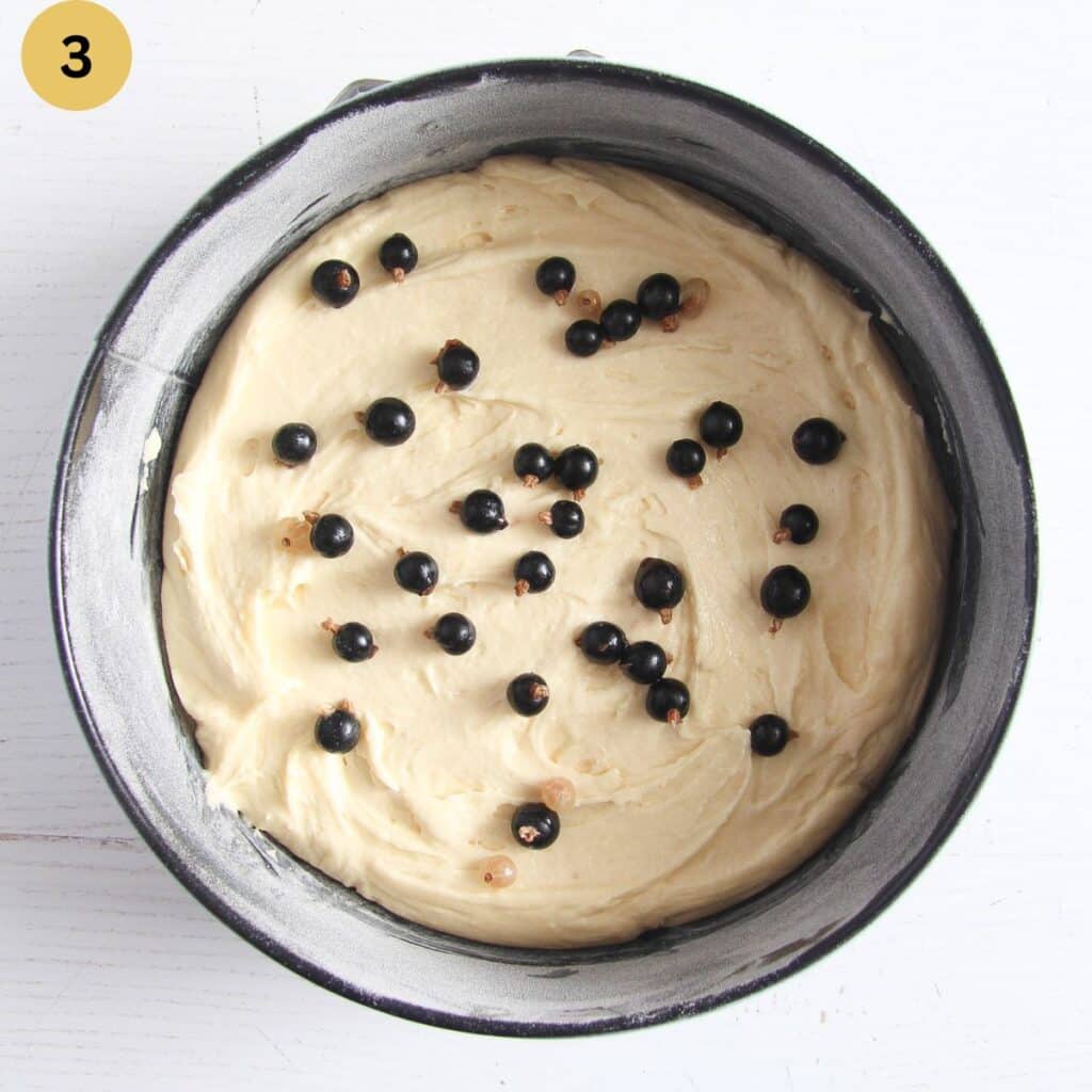 Black Currant Cake - Where Is My Spoon