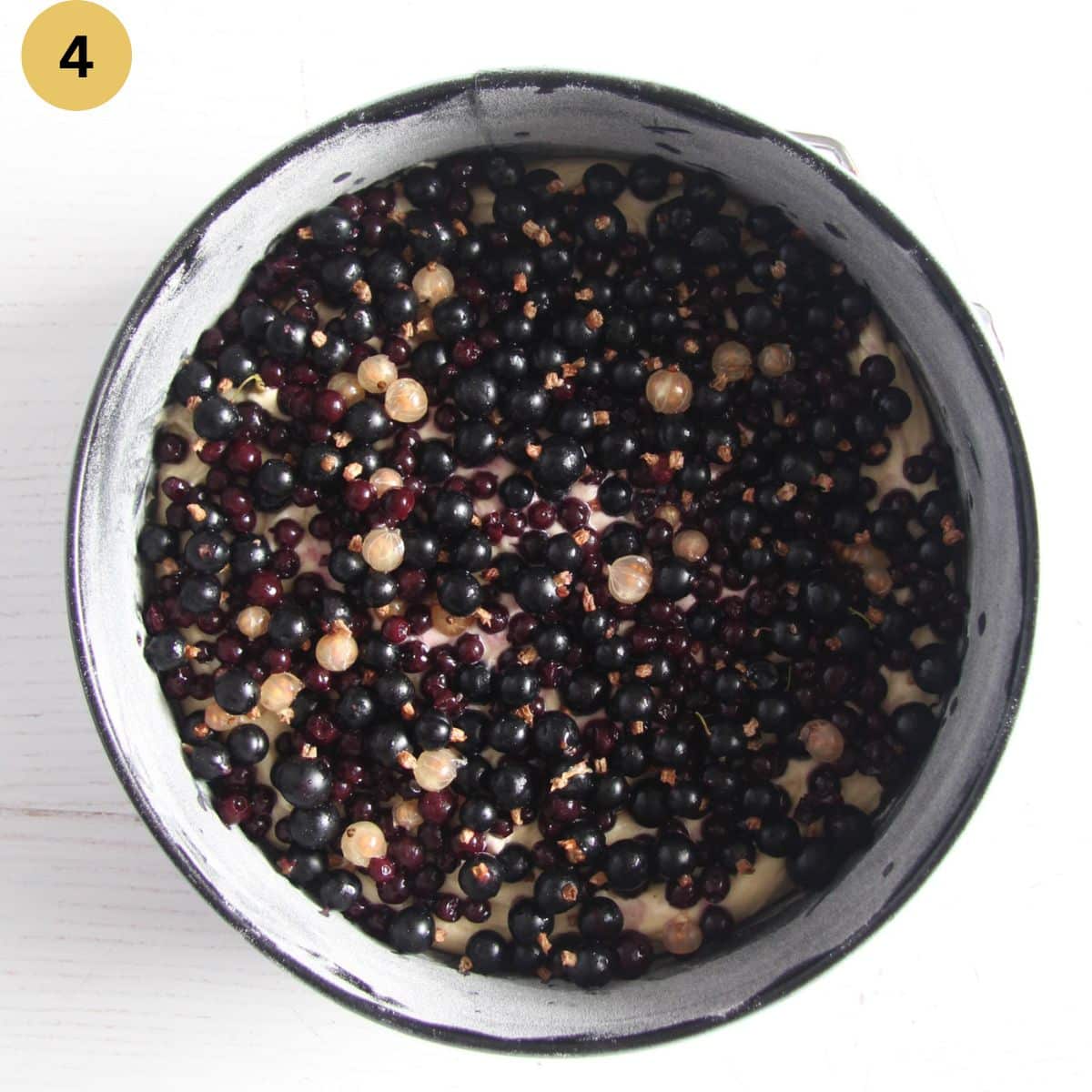 Black Currant Cake - Where Is My Spoon