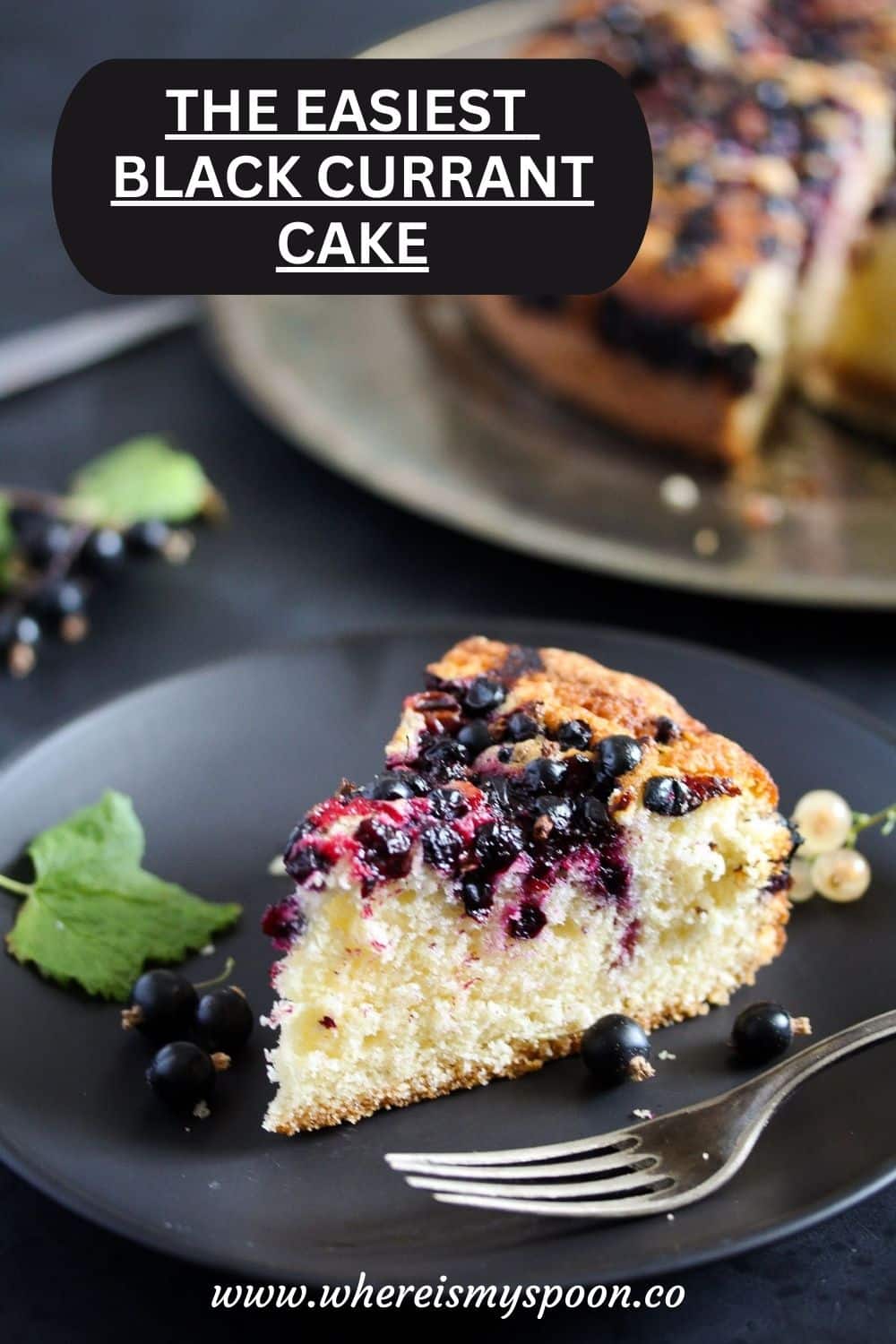 Black Currant Cake - Where Is My Spoon