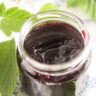 The Best Black Currant Jelly - Where Is My Spoon